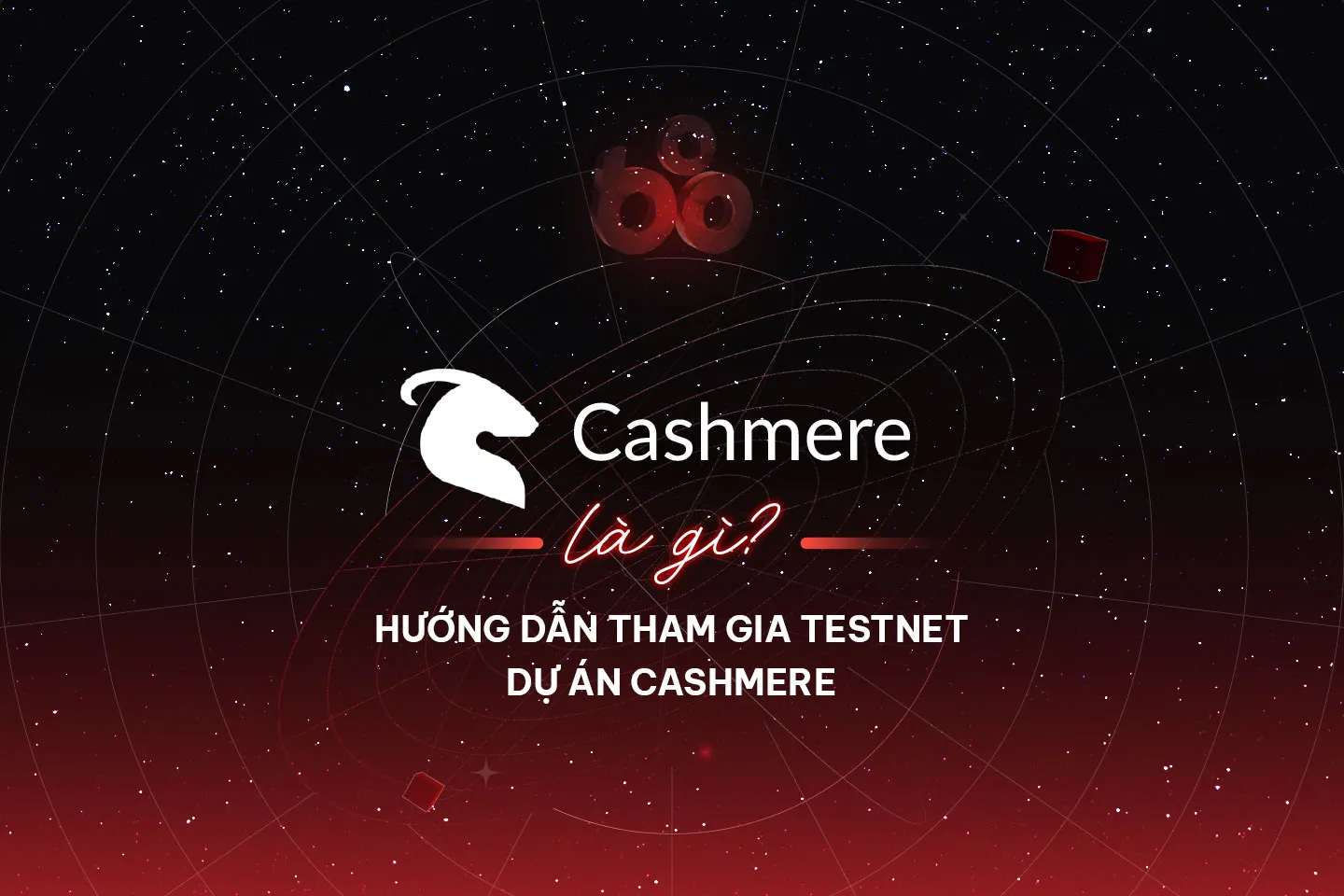 Cashmere là gì? Hướng dẫn tham gia testnet dự án Cashmere