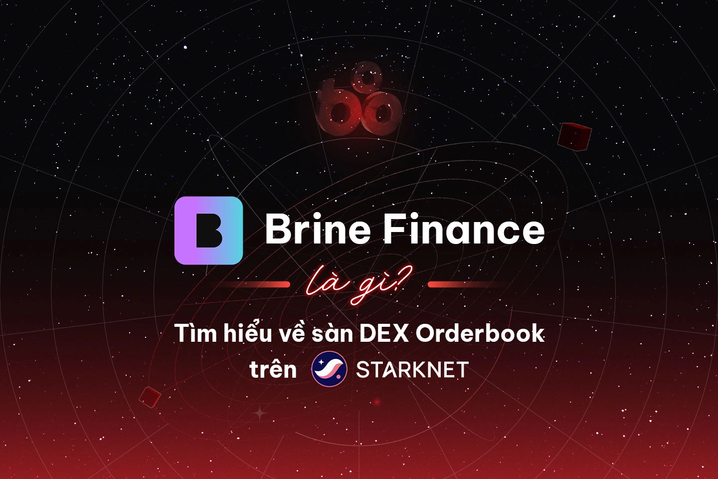 Brine Finance là gì? Sàn DEX Orderbook trên Starknet