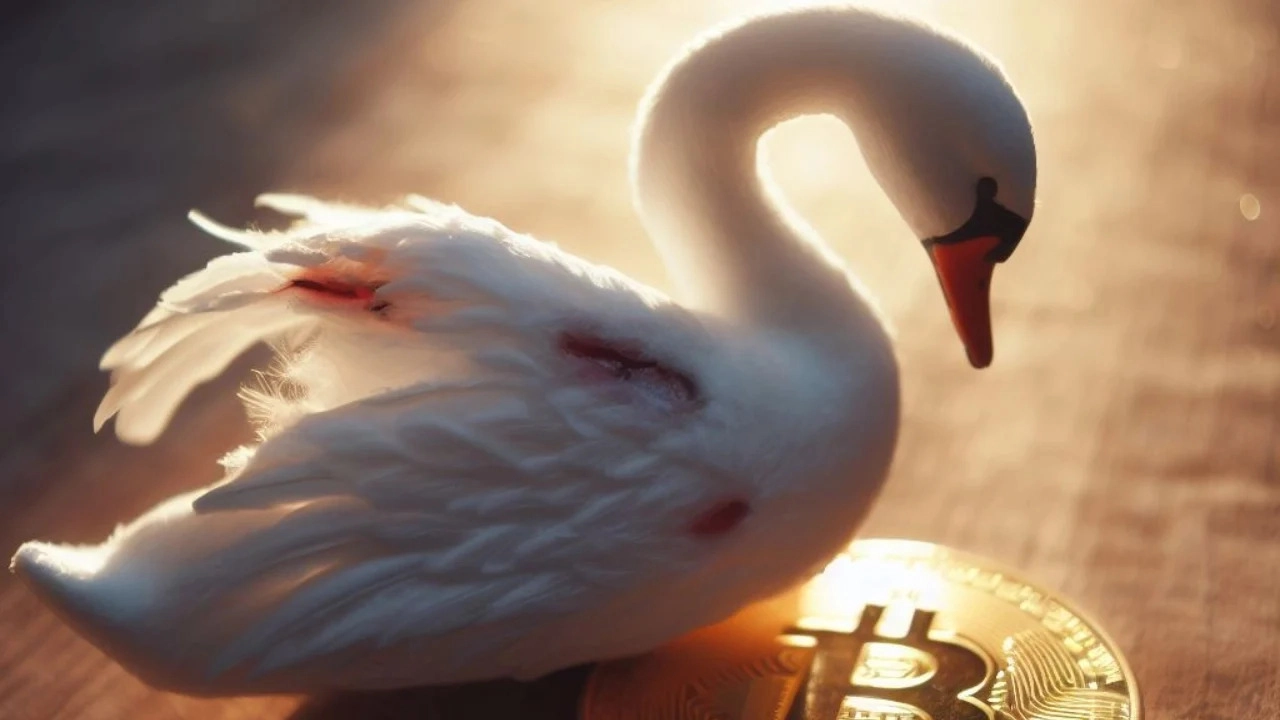 Swan Bitcoin chặn các tài khoản tương tác với dịch vụ trộn tiền