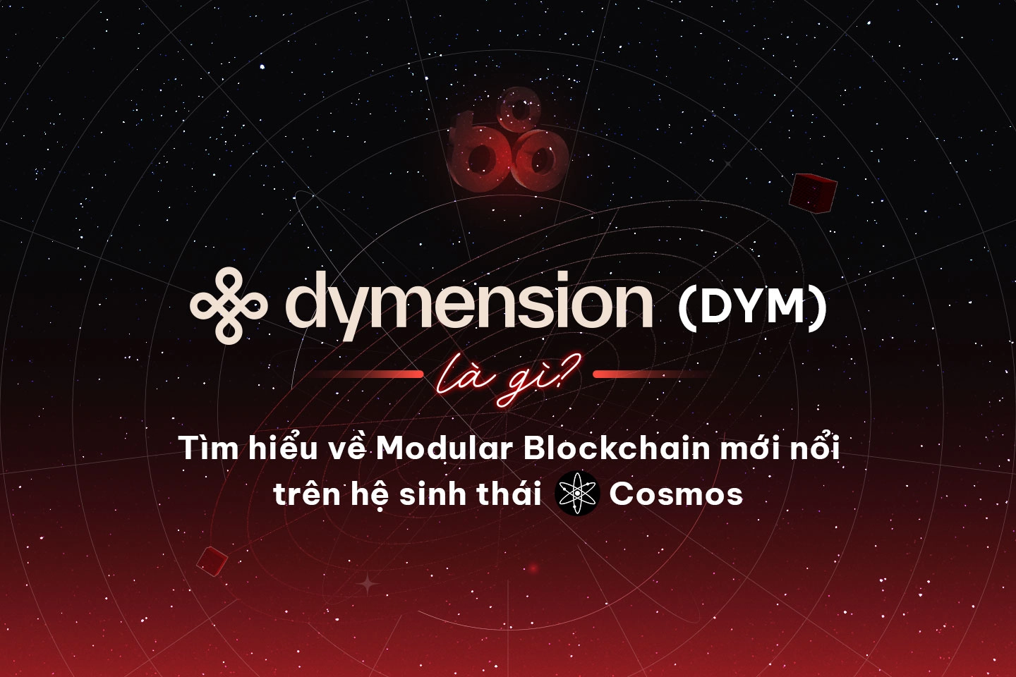 Dymension (DYM) là gì? Tìm hiểu về Modular Blockchain mới nổi trên hệ ...