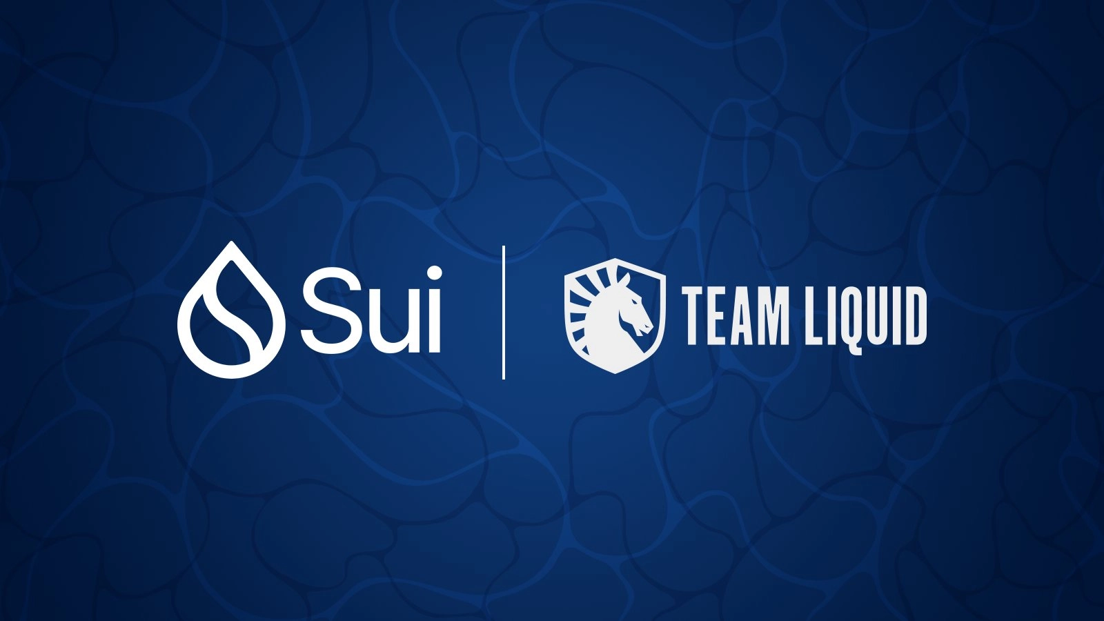Gã khổng lồ e-sports Team Liquid ra mắt nền tảng tương tác với fan trên Sui