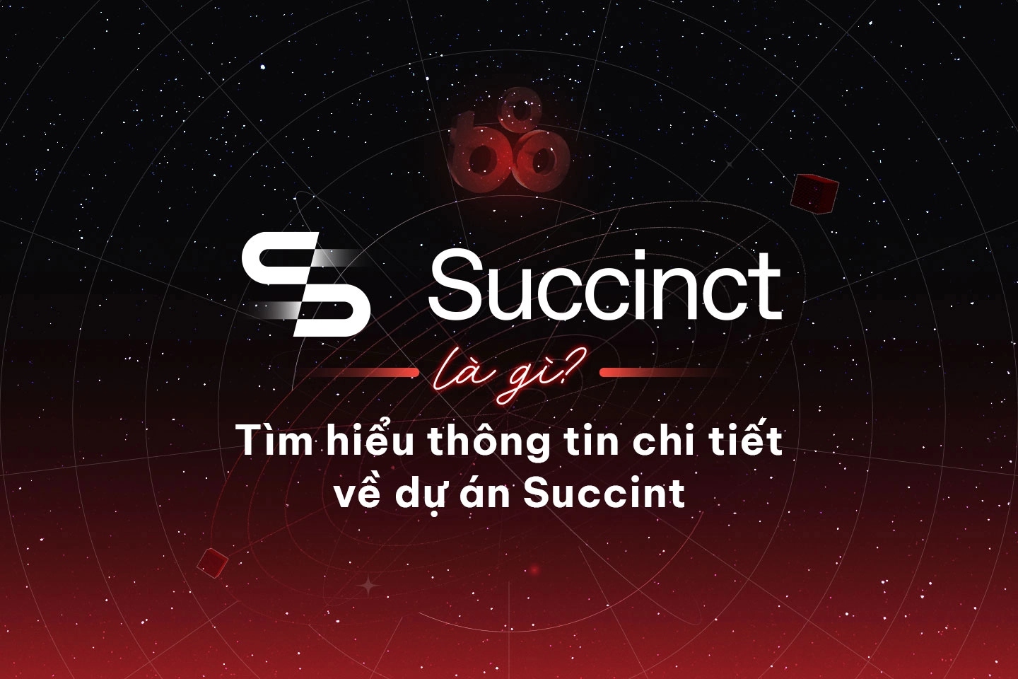 Succinct là gì? Tìm hiểu thông tin chi tiết về dự án Succint