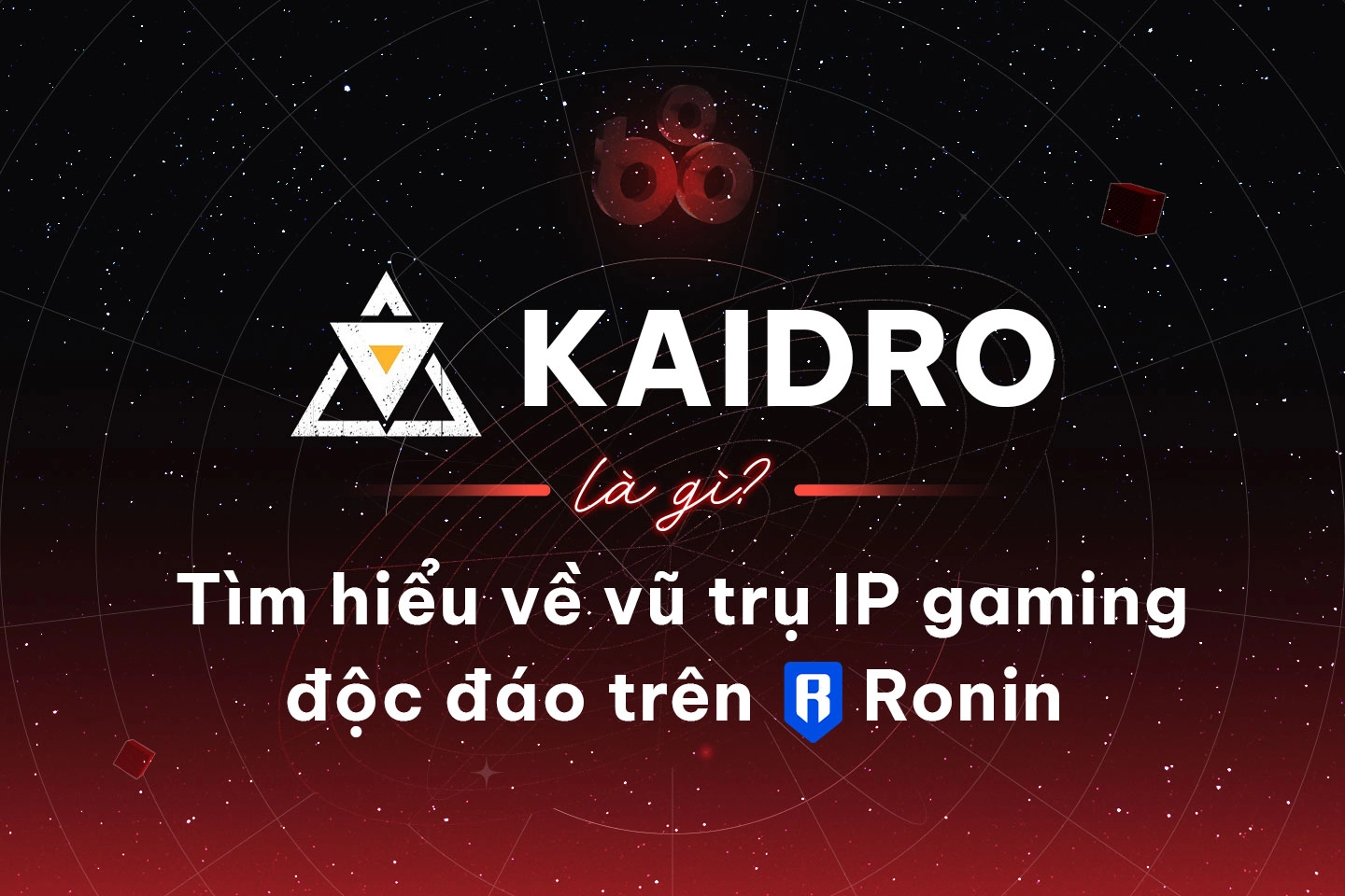 Kaidro là gì? Tìm hiểu về vũ trụ IP gaming độc đáo trên Ronin