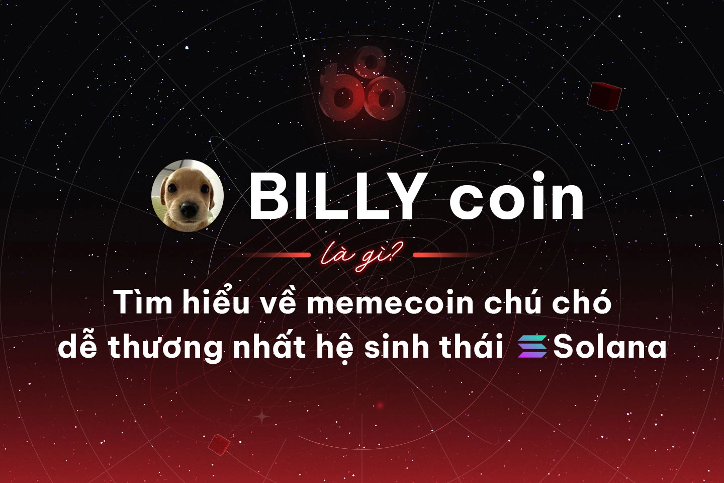 BILLY - Memecoin chú chó dễ thương nhất hệ sinh thái Solana