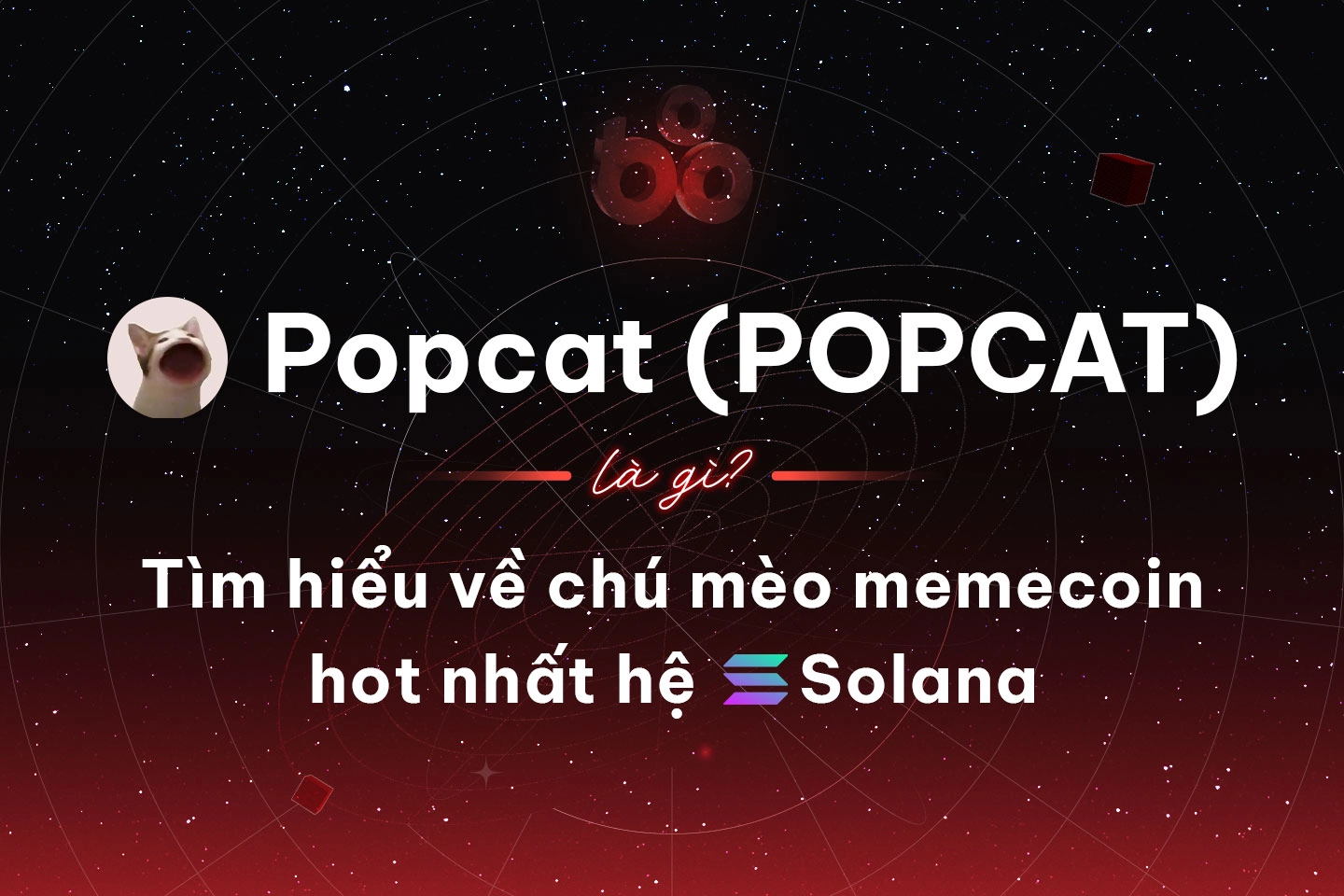 Popcat (POPCAT) là gì? Một trong những memecoin hot nhất hệ Solana