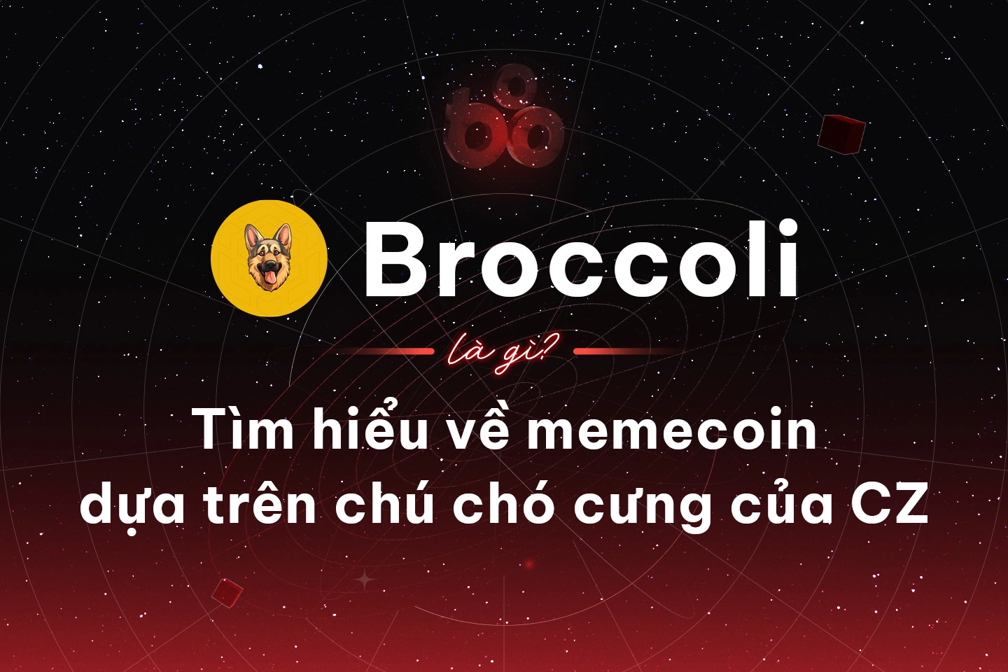 Broccoli - Memecoin dựa trên chú chó cưng của CZ