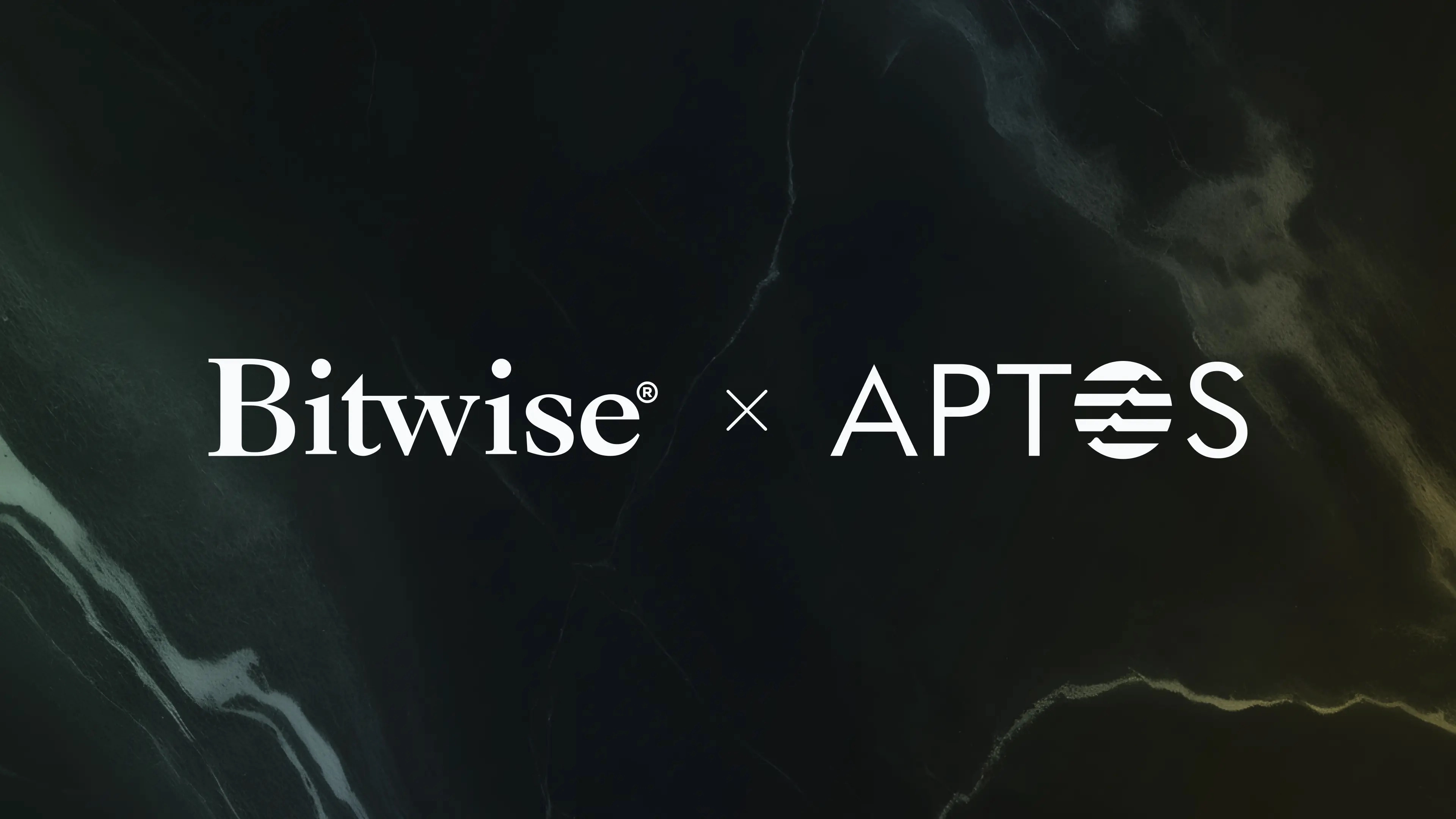 Bitwise nộp đơn đăng ký ETF cho Aptos