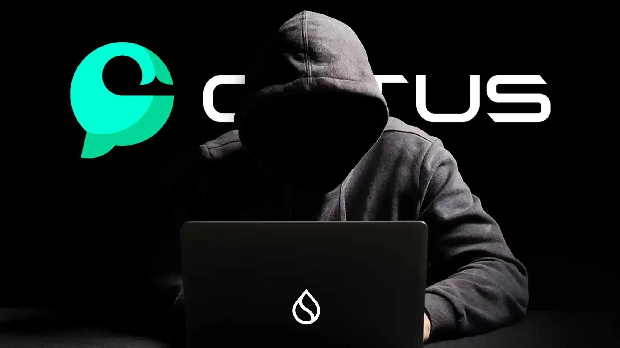 Cetus gửi đề nghị "mũ trắng" 6 triệu USD cho hacker, hứa miễn truy tố