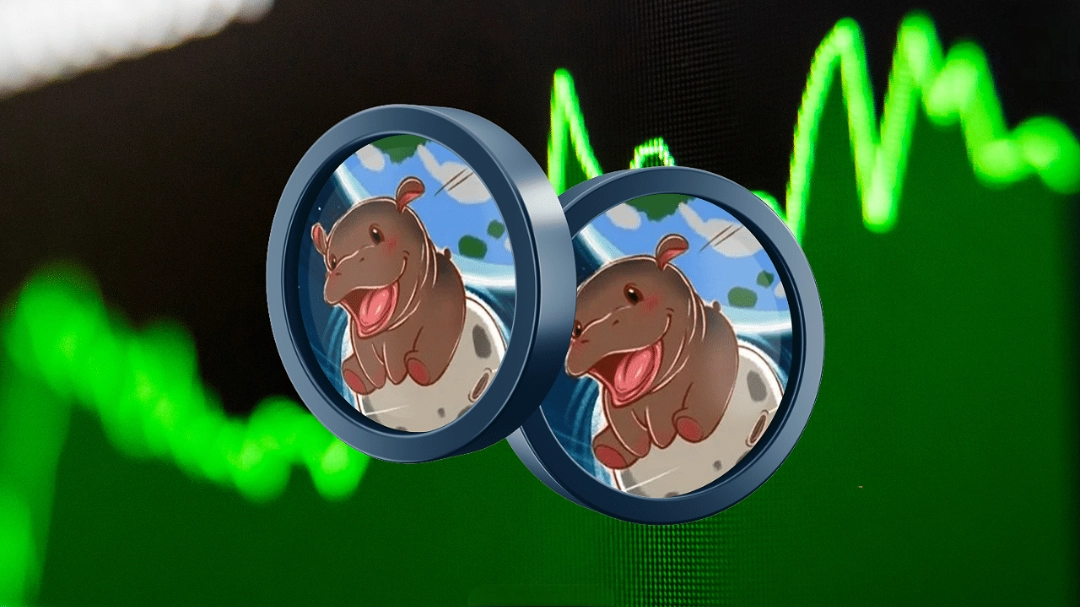 Memecoin gắn với chú hà mã Moo Deng “vọt tăng” giữa cơn sốt đầu cơ mới