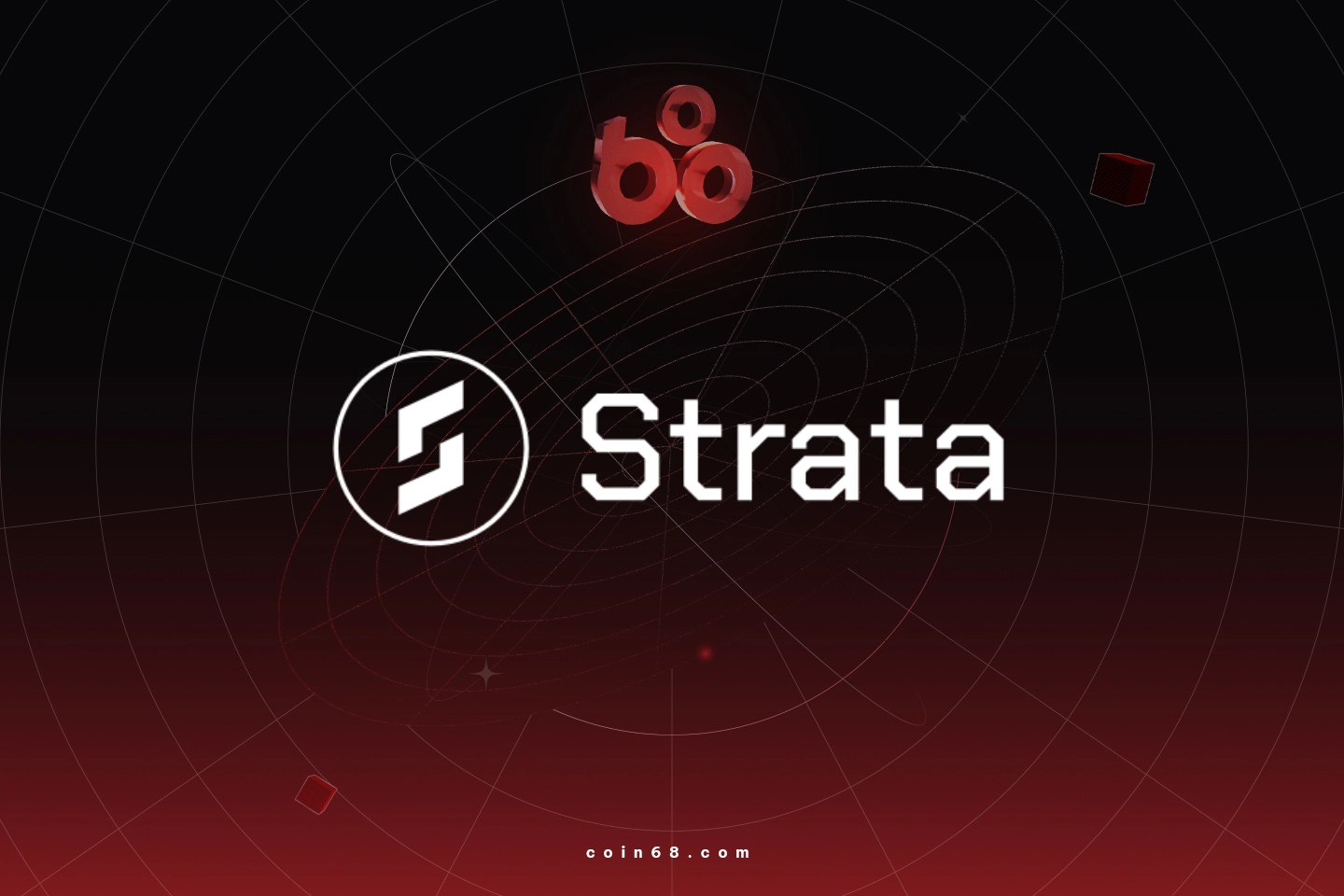 Strata là gì? Giao thức tài chính giúp phân bổ rủi ro