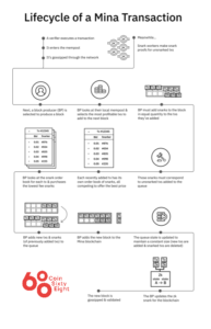 Mina Protocol (MINA) coin là gì? Hướng dẫn mua MINA trên Coinlist