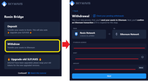 Tìm hiểu Ronin Wallet là gì? Hướng dẫn cách tạo ví và nạp tiền vào game ...