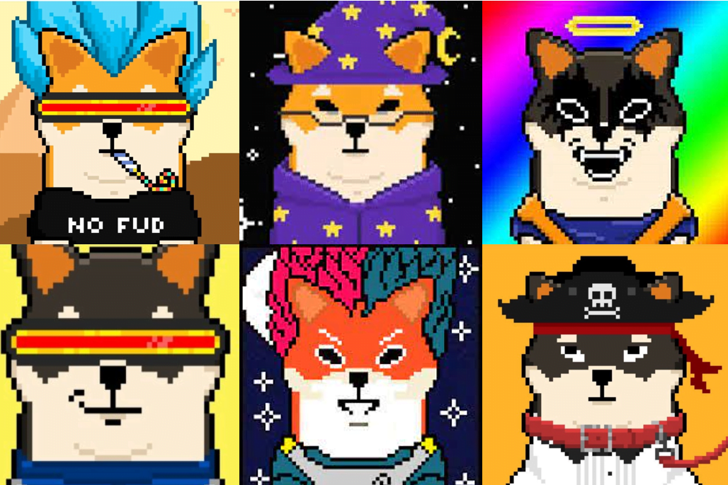 Thừa thắng xông lên, Shiba Inu (SHIB) lấn sân sang NFT với bộ sưu tập ...