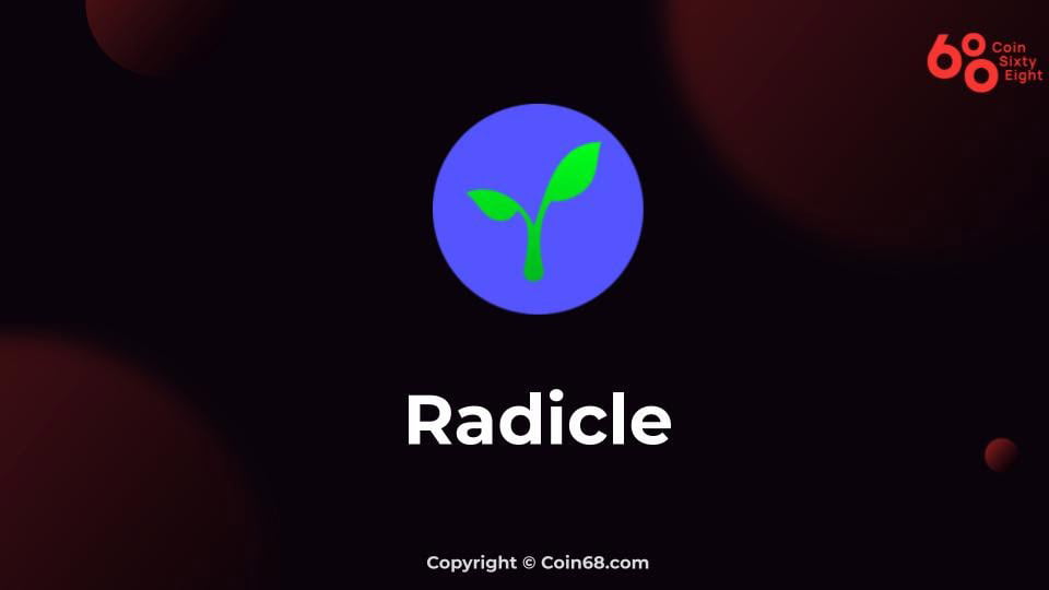 Đánh giá dự án Radicle (RAD coin) – Thông tin và update mới nhất về dự án