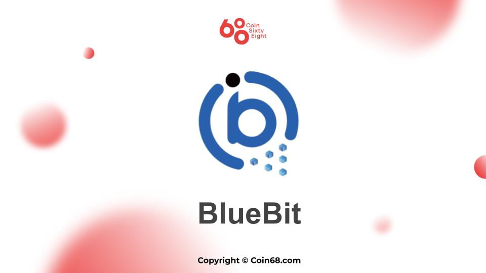 Đánh giá tổng quan dự án BlueBit (BTT coin) – Thông tin và update mới ...