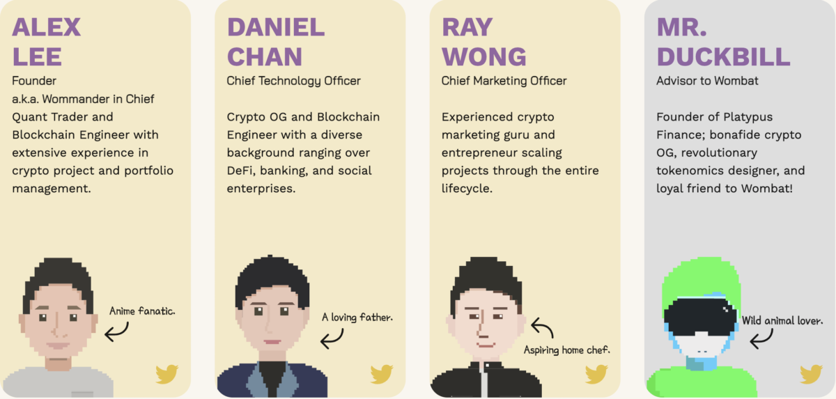 Wombat Exchange (WOM) là gì? Thông tin chi tiết về dự án và WOM coin