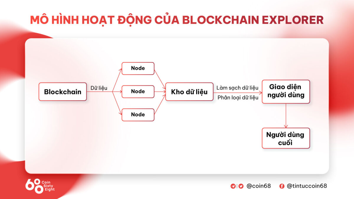 Blockchain Explorer là gì? Top các Blockchain Explorer hàng đầu